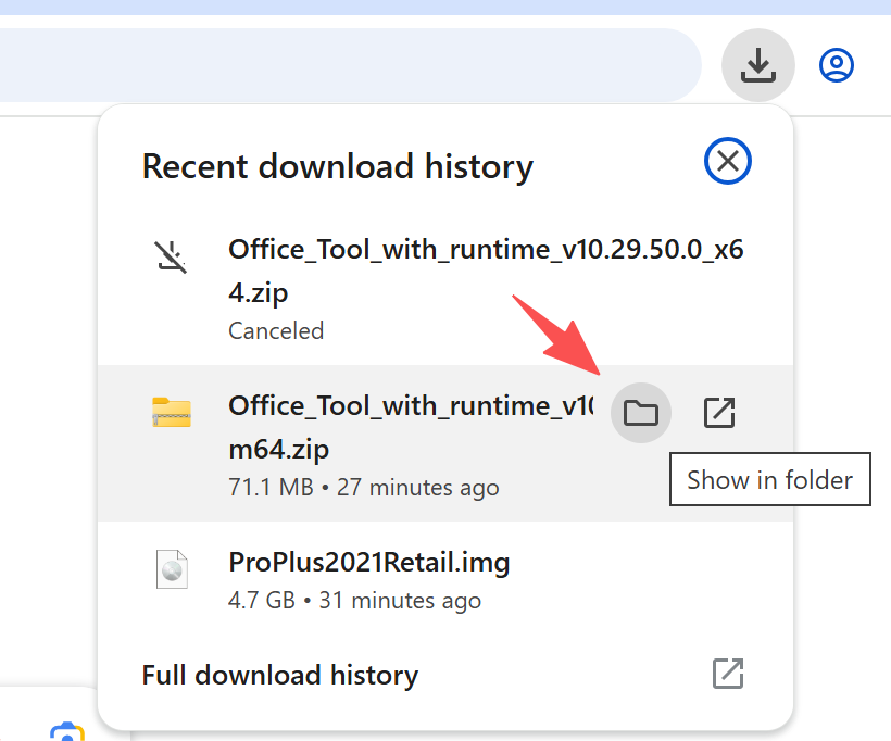 Office 2021 Professional Plus-SOFTCAT